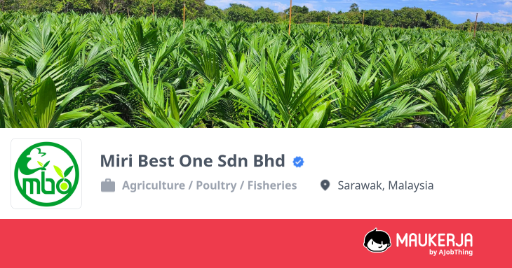 Miri Best One Sdn Bhd Company Overview & Details - Maukerja
